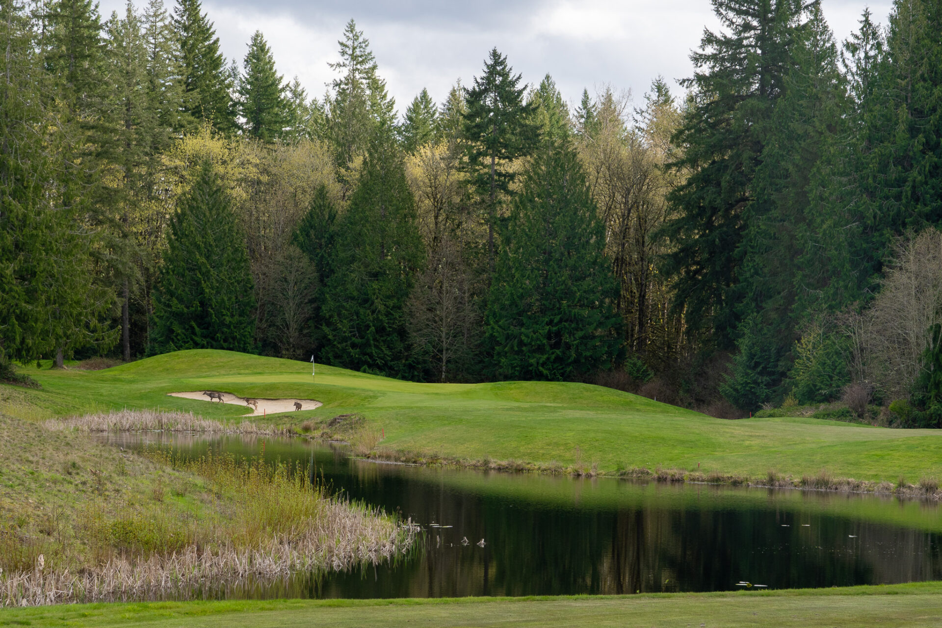 Course & Facilities - The Plateau Club