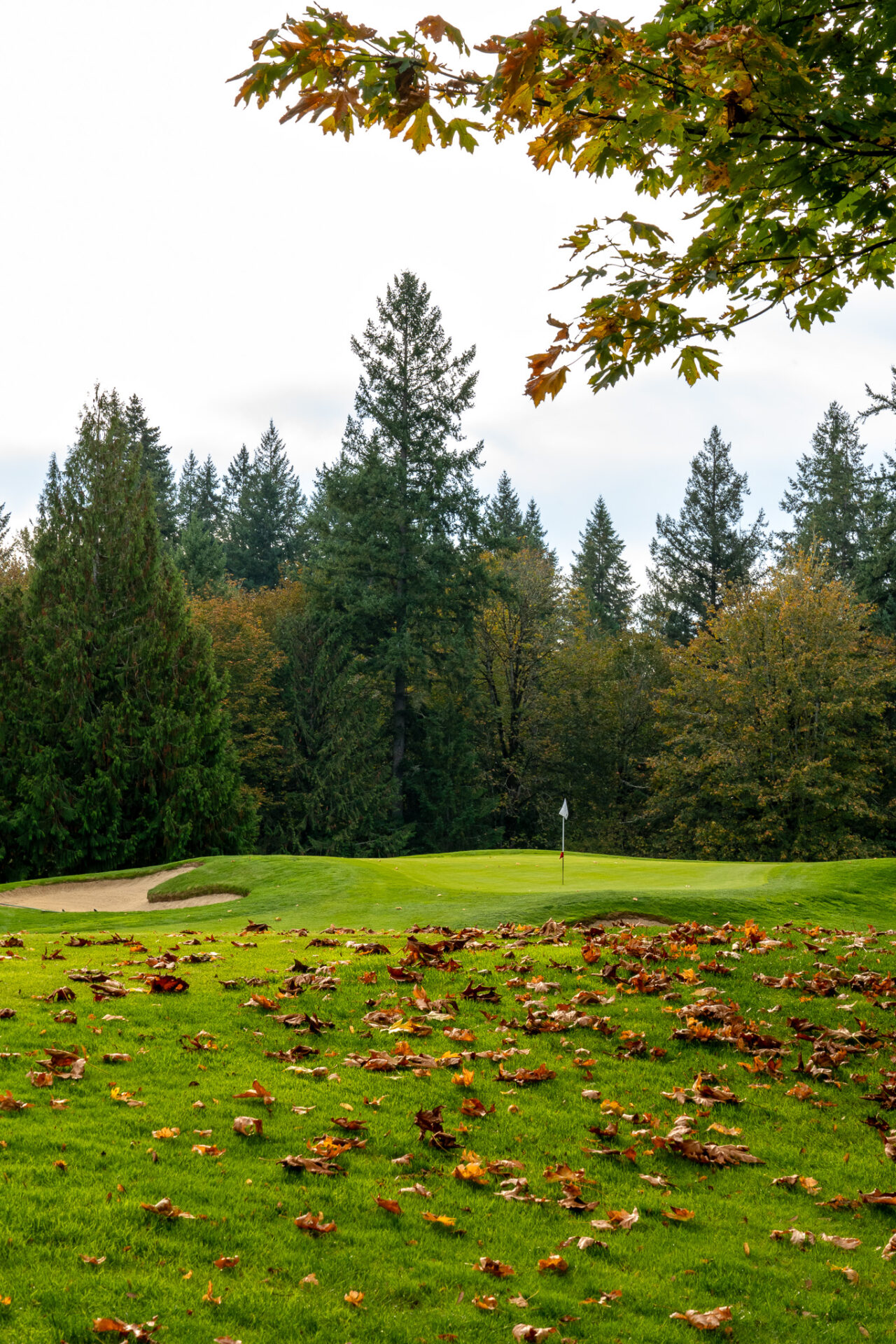 Course & Facilities - The Plateau Club